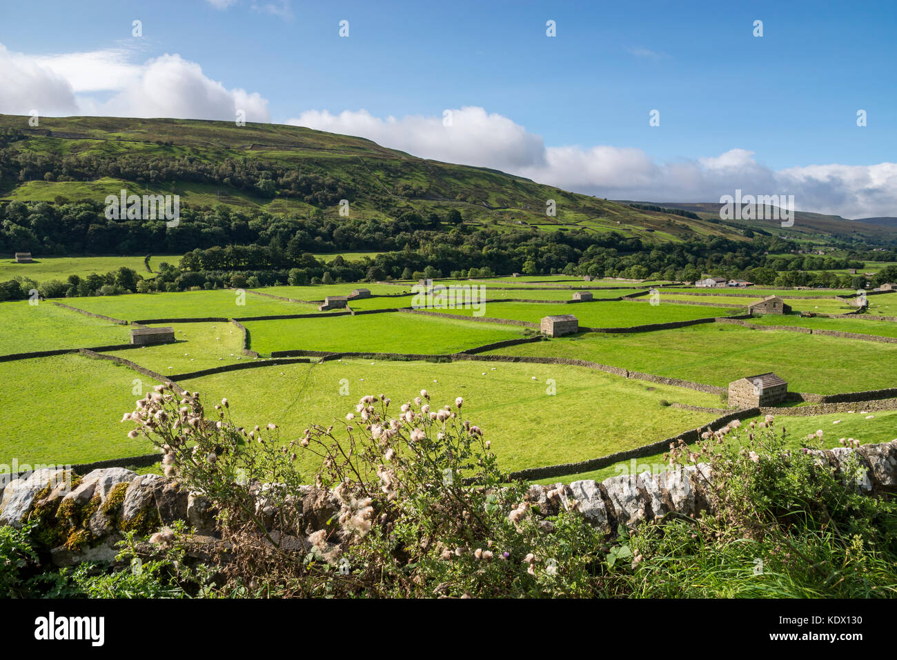 Beautiful scenery at Gunnerside meadows in Swaledale, North Yorkshire ...