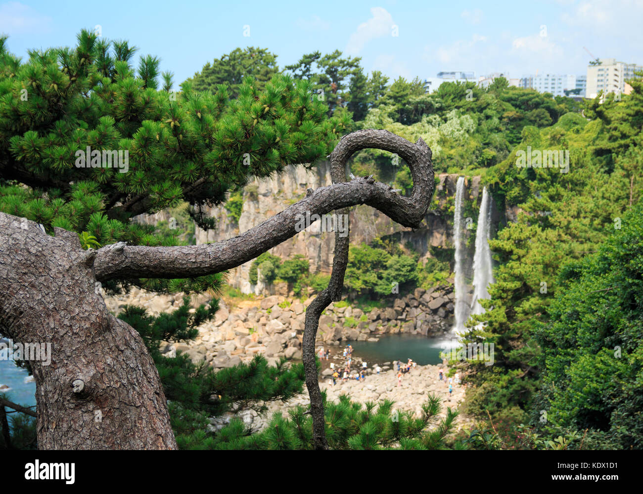 Jeongbang waterfall one of the famous travel destination in Jeju Island ...