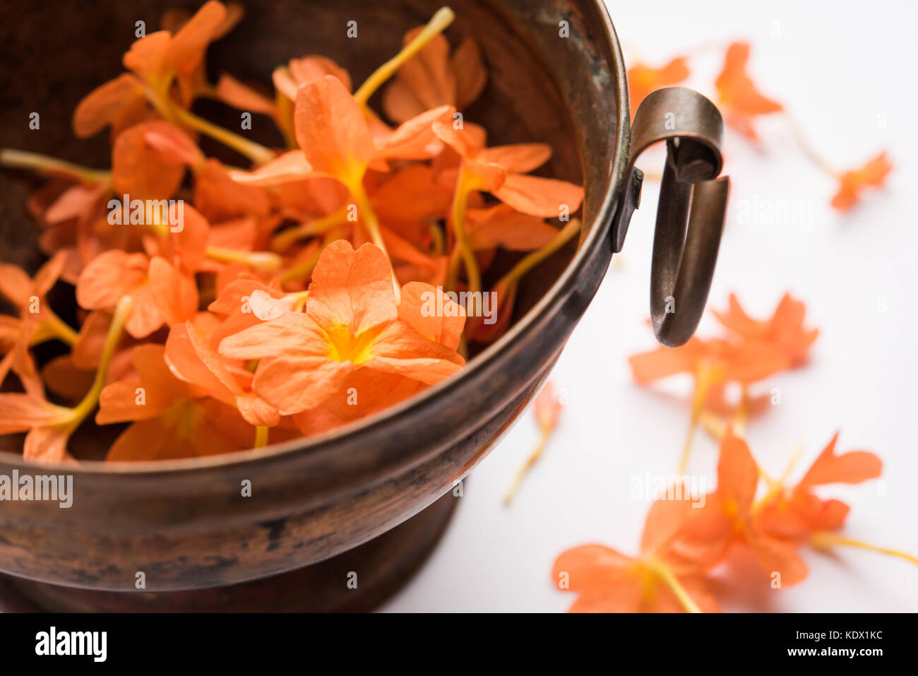 Closeup of vibrant orange crossandra flowers also known as Aboli ...