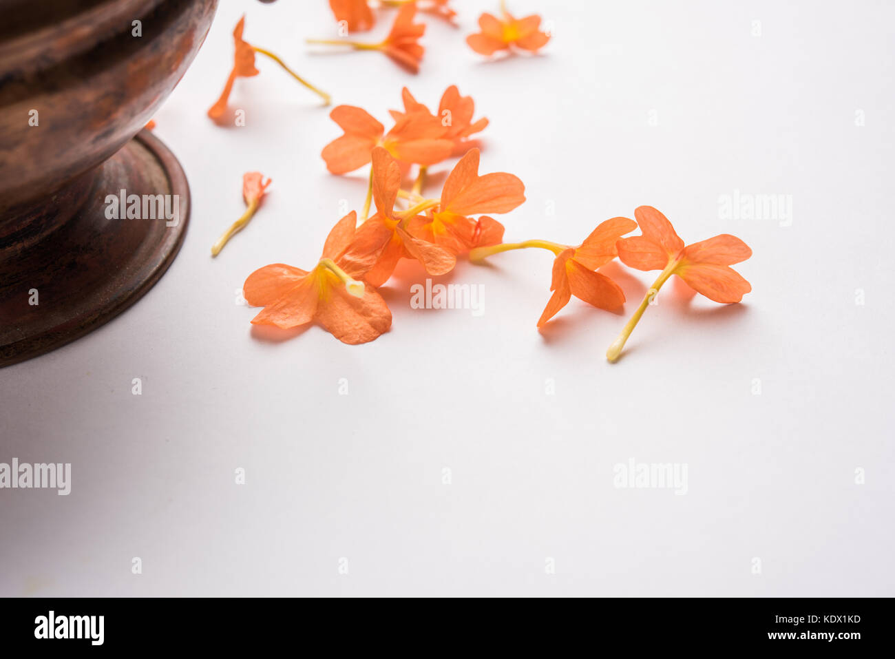 Closeup of vibrant orange crossandra flowers also known as Aboli ...