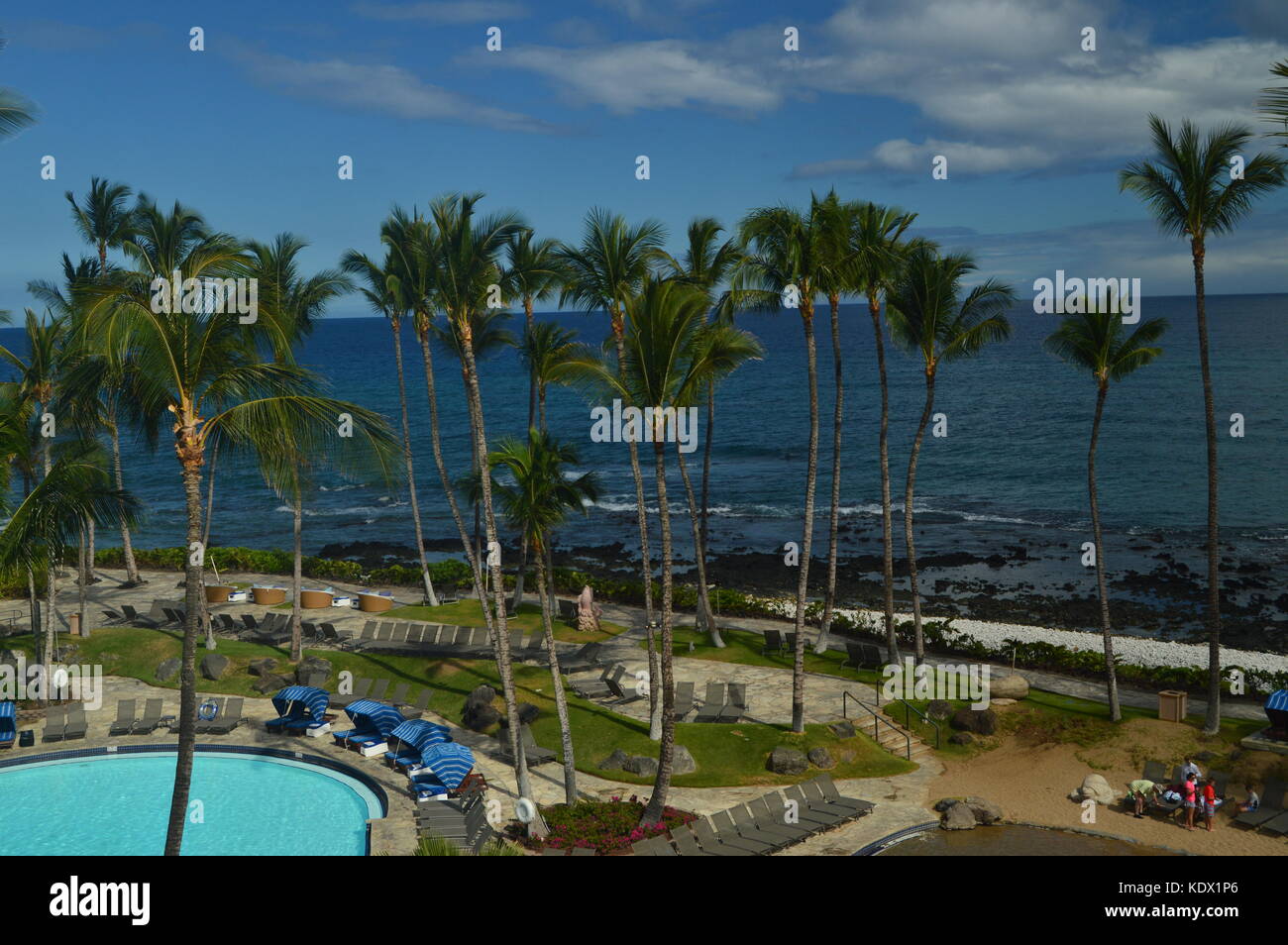 PALM & POOLS IN HAWAII Stock Photo - Alamy