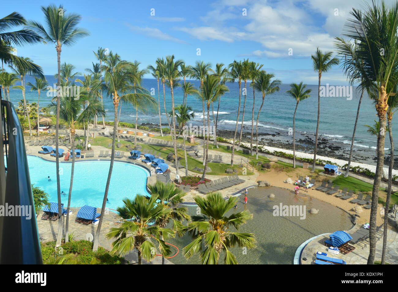 Palms & Pool In Hawaii Stock Photo - Alamy