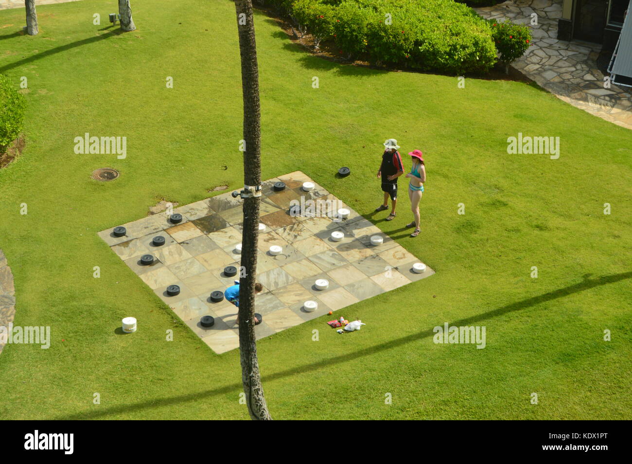 Chess match in hawaii grass, Bib Island, USA Stock Photo - Alamy