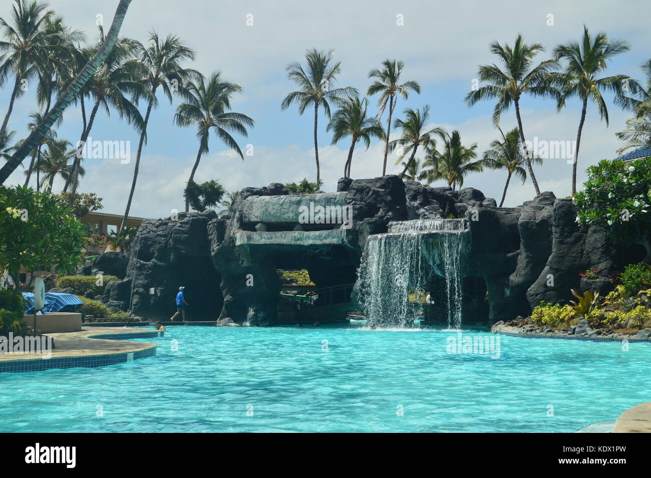 Palms & Pool In Hawaii Stock Photo - Alamy