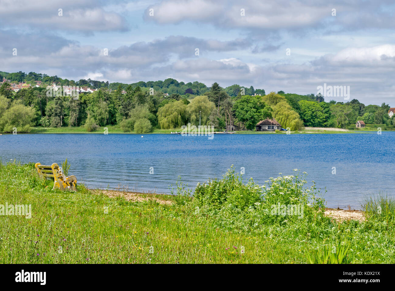 BLAGDON LAKE SOMERSET ENGLAND SPRINGTIME THE MEADOWS FULL OF WILD ...
