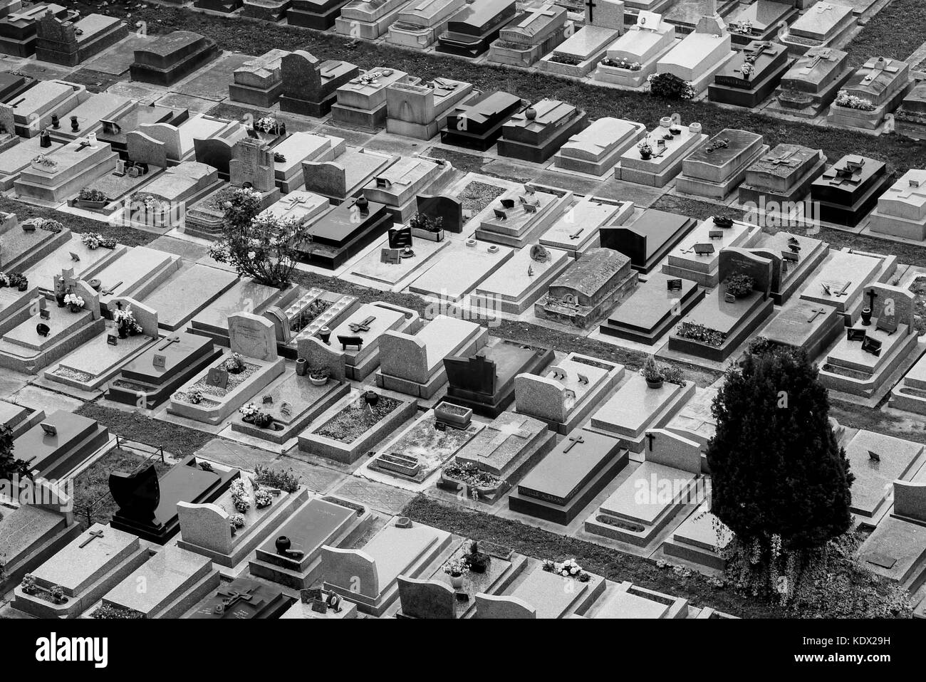 Montrouge cemetery, 14th district of Paris, France Stock Photo - Alamy