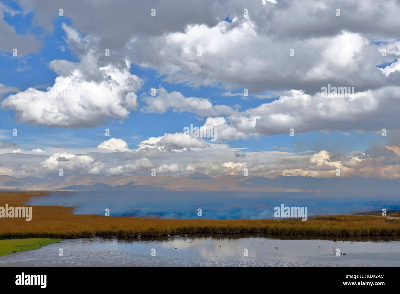 burning of Andean grasslands on Lake Junin Stock Photo - Alamy