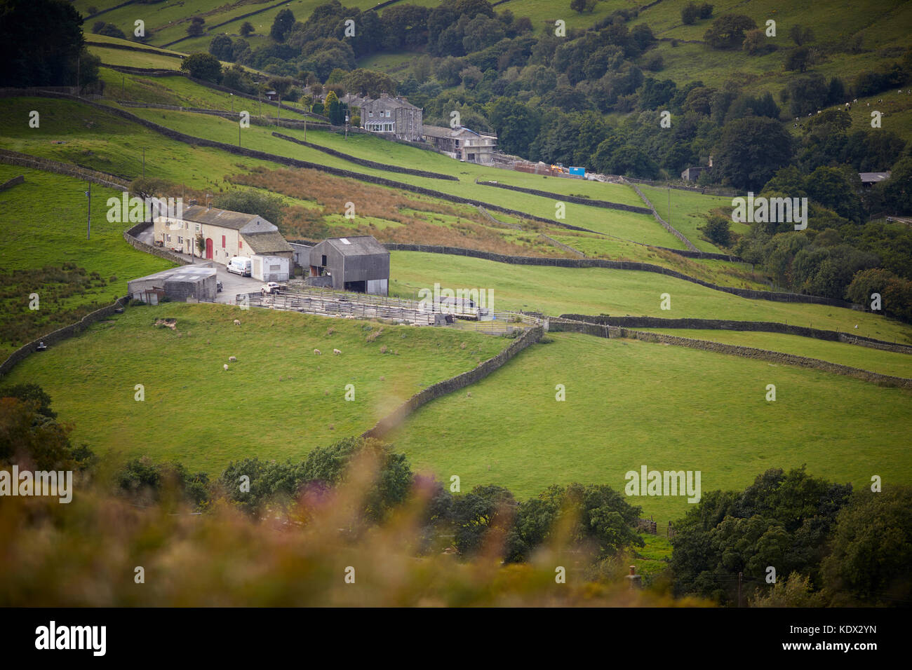 Pennines village, Haworth in West Yorkshire, England. farm bringing in ...