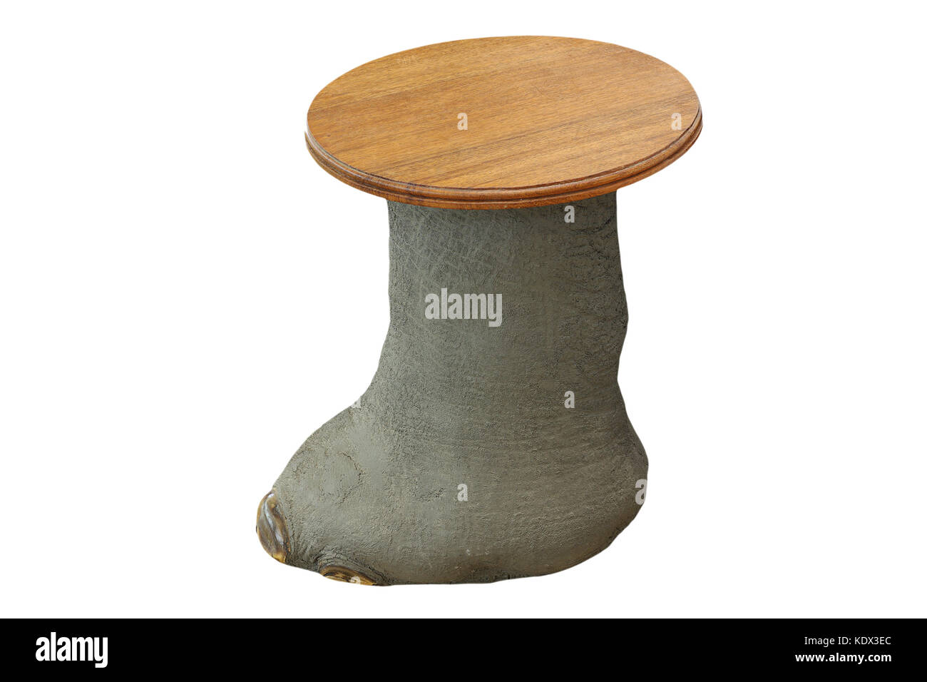 African elephant design over hi-res stock photography and images - Alamy