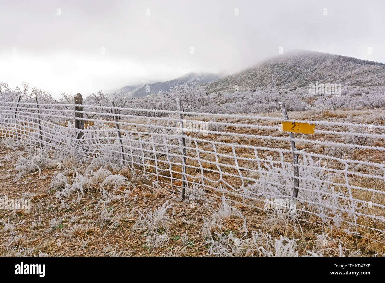 Texas Ranch in an Ice Storm near Alpine, Texas Stock Photo - Alamy