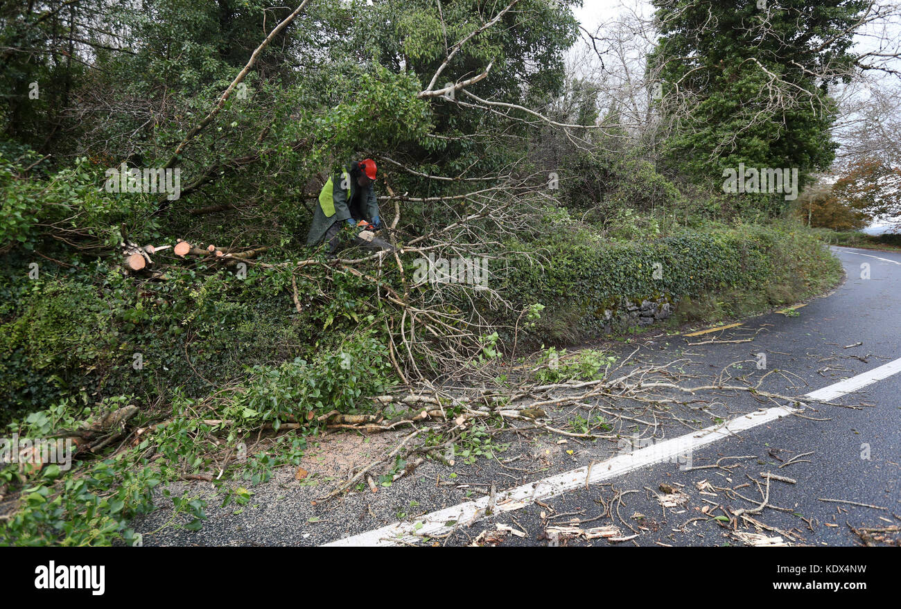 A man uses a chain saw to to cut up a fallen tree, which had landed ...