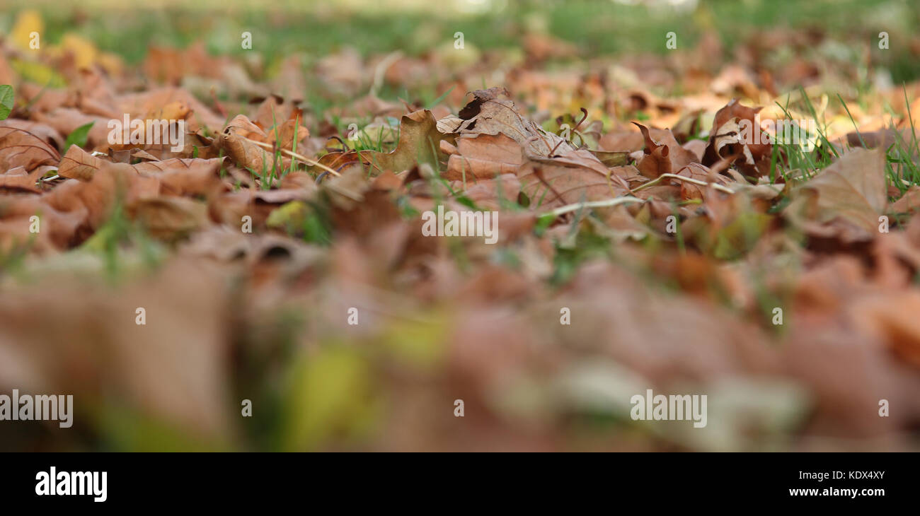 Autumnal manchester hi-res stock photography and images - Alamy