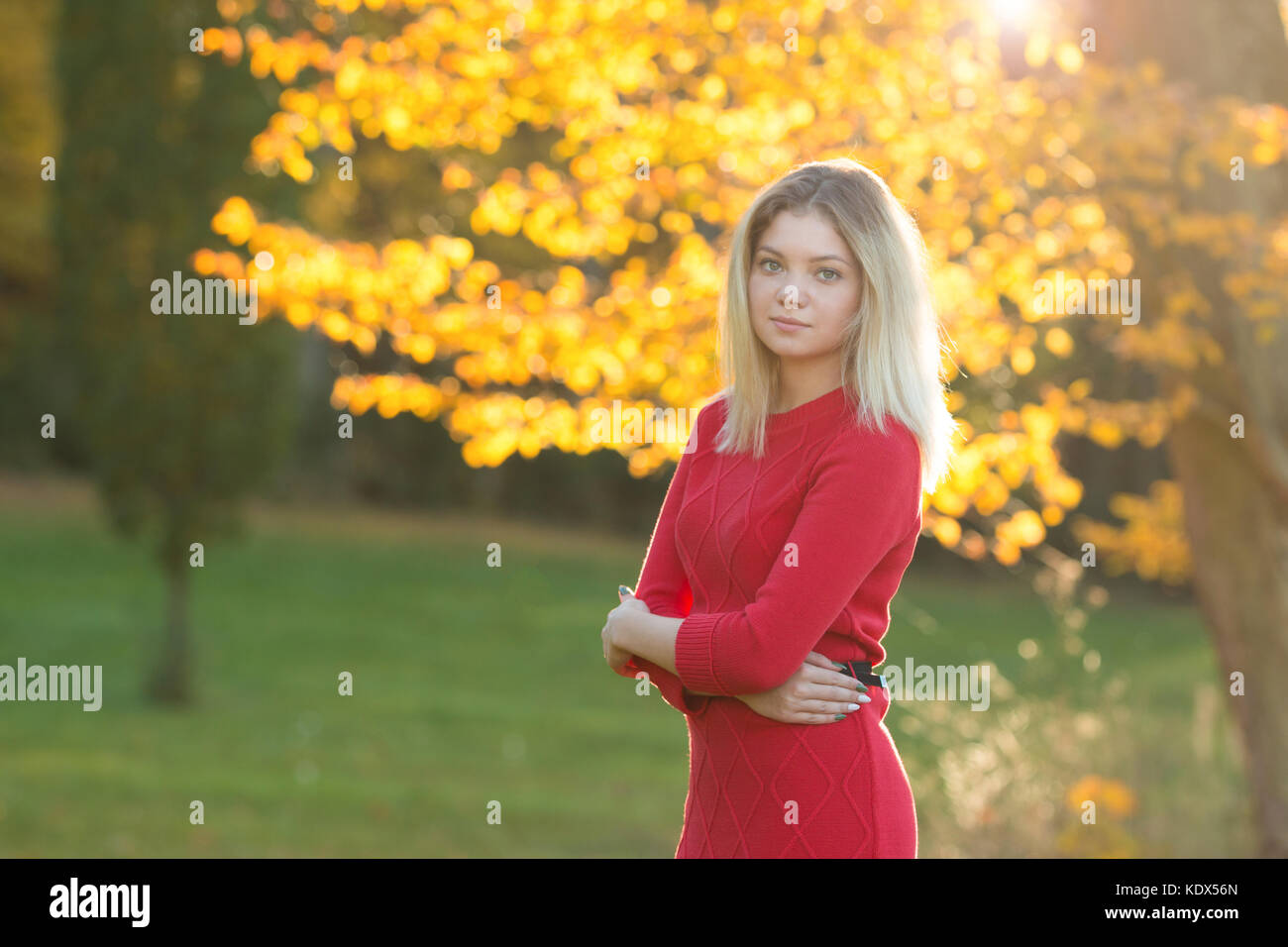 Beautiful Woman with Autumn Leaves on Fall Nature Background Stock ...