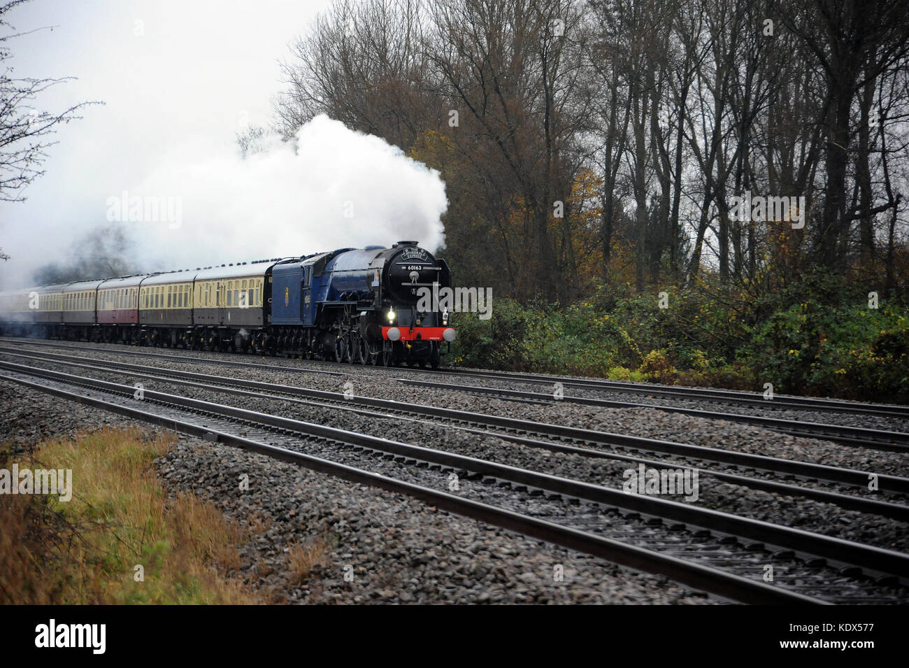 60163 "TORNADO" (on its first public train in B.R. blue) heads a ...