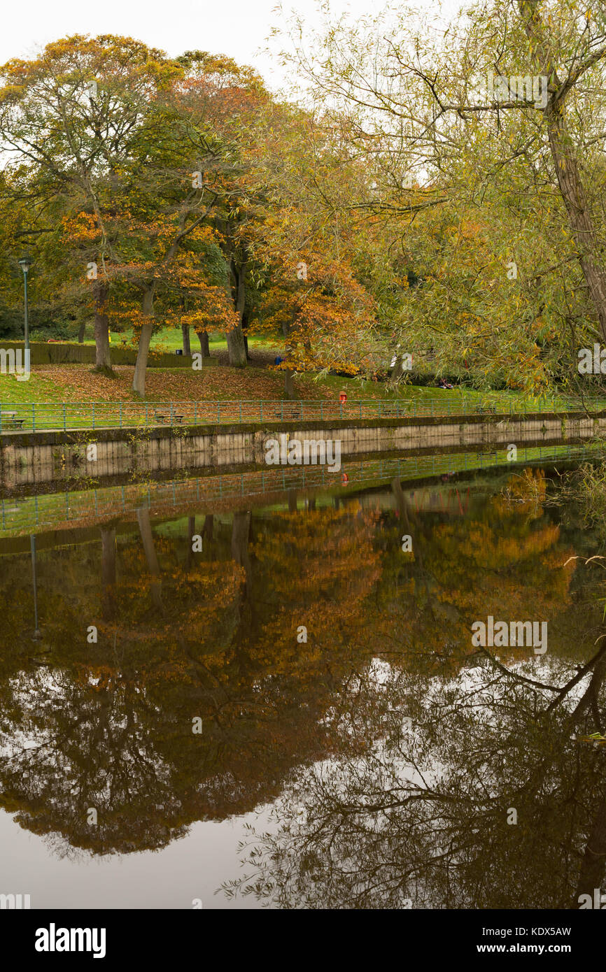 Autumn foliage reflected in the river Wansbeck, Morpeth, Northumberland ...