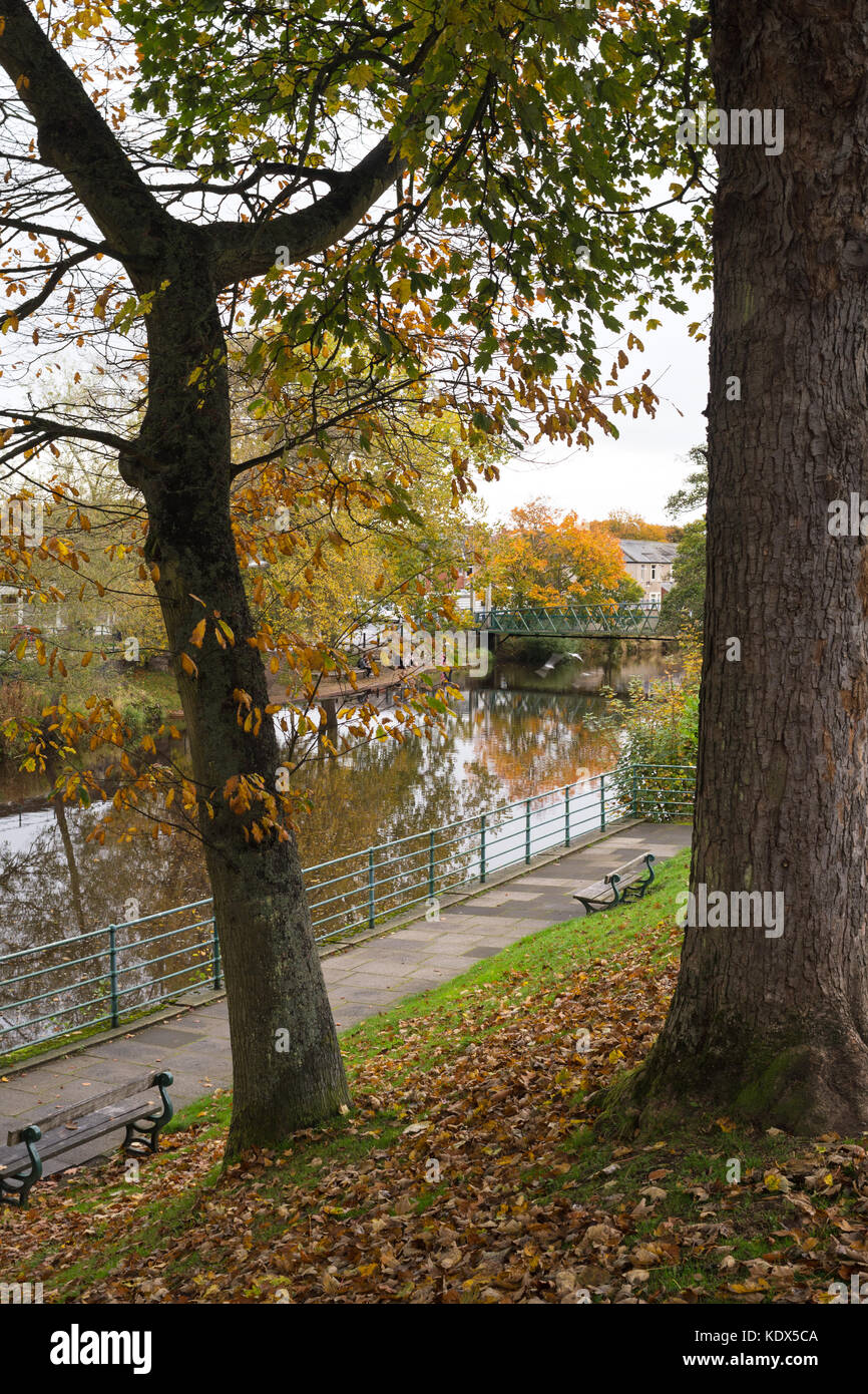 Autumn colours along the river Wansbeck, Morpeth, Northumberland ...