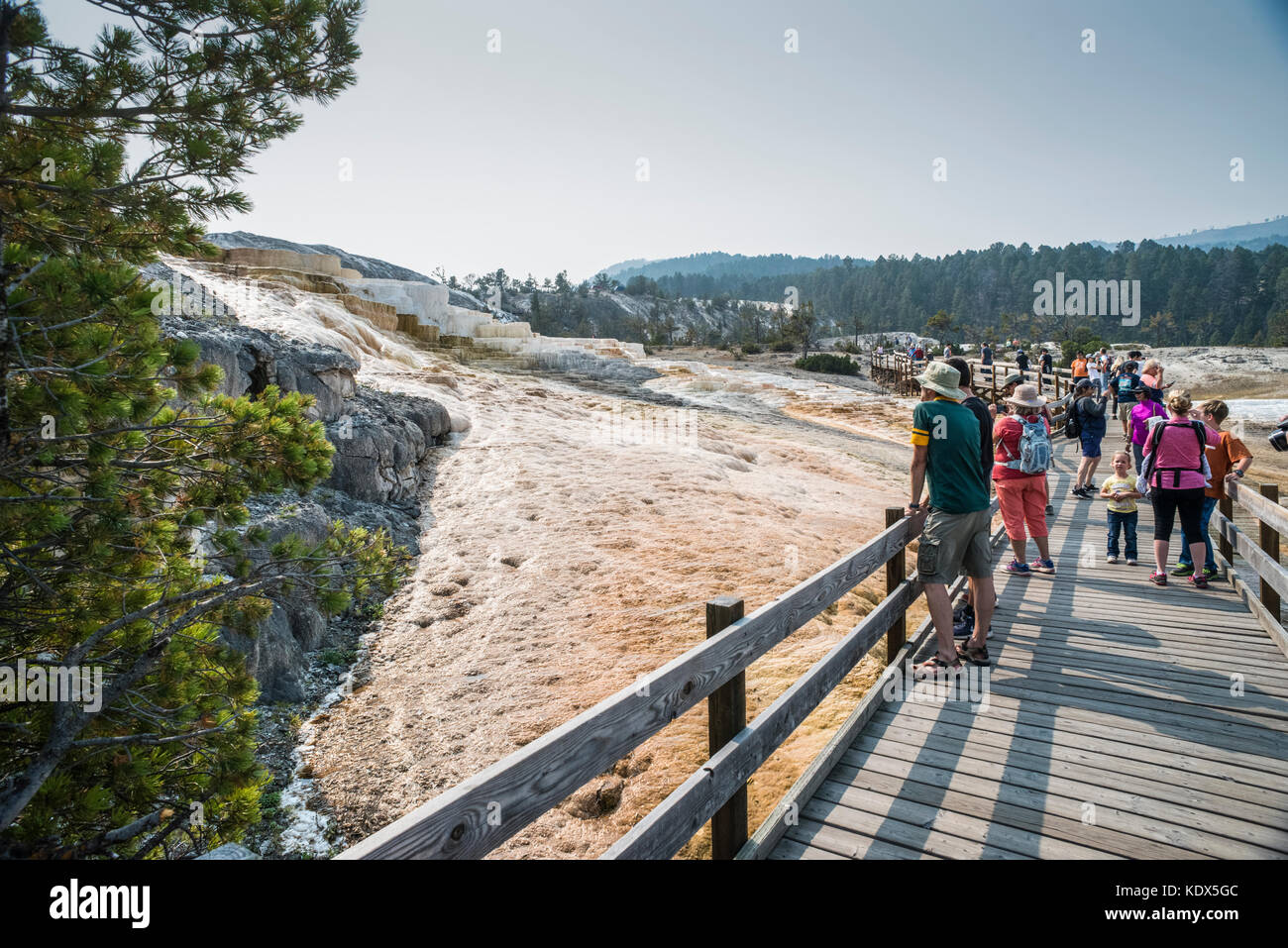 Tourists at the Terrace Layer Cake overlook at Mammoth Hot Springs geo ...