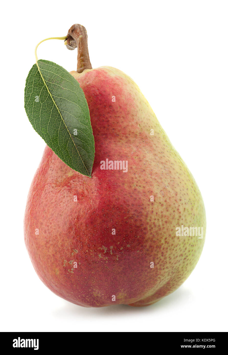 Pear fruit closeup with leaf isolated on white background Stock Photo ...