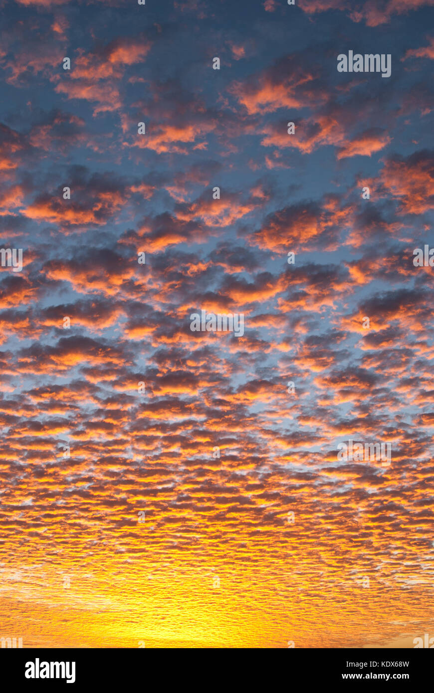 Mackerel Sky at Sunset in Pacific Stock Photo - Alamy