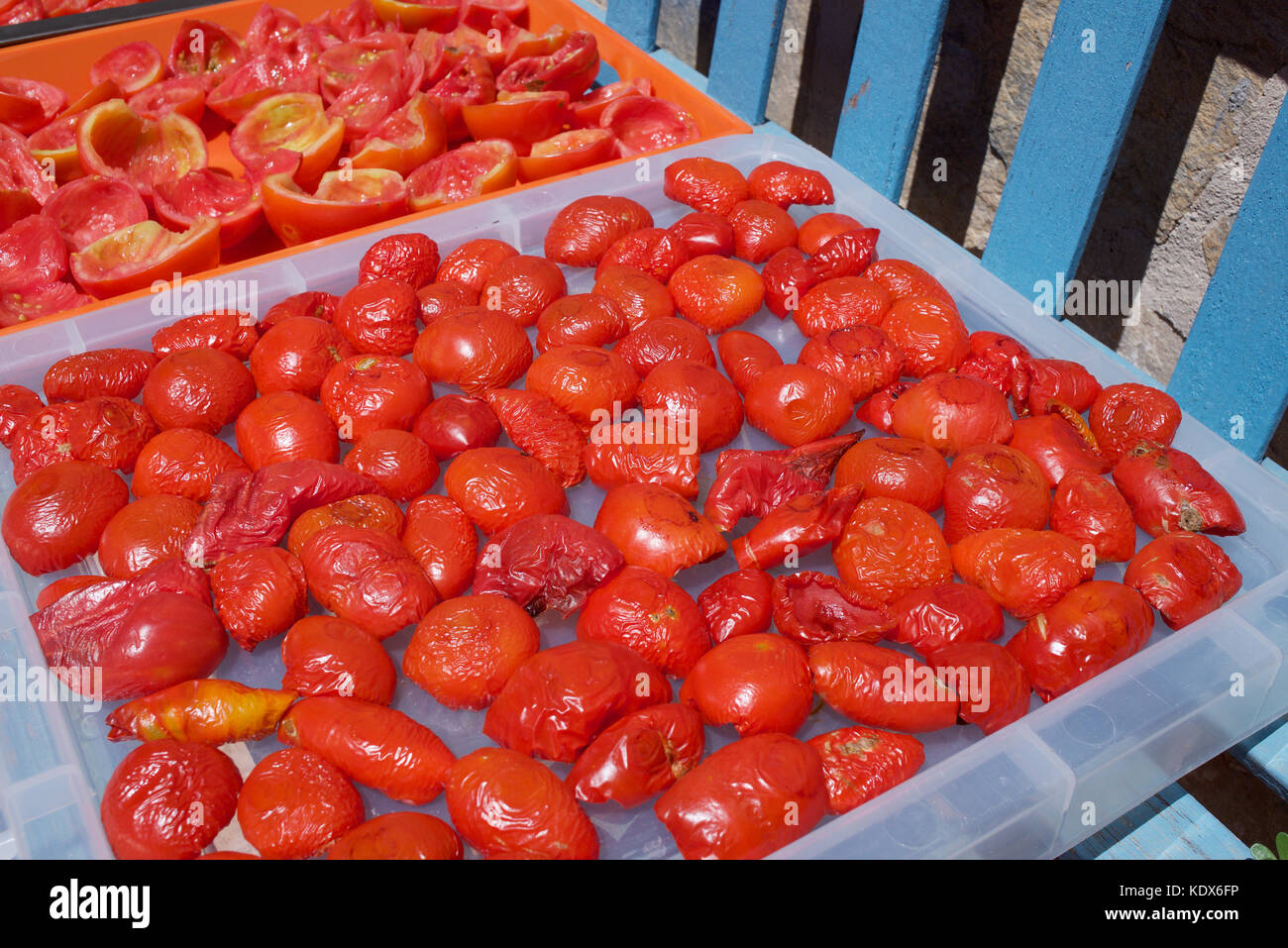 Tray of tomatoes drying in the sunshine Stock Photo - Alamy