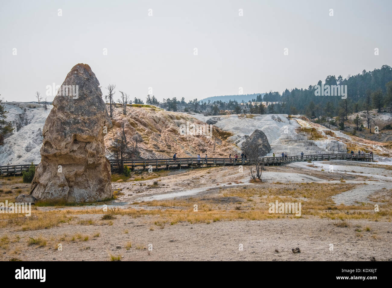 The Liberty Cap geo-thermal rock formation at Mammoth Hot Springs in ...