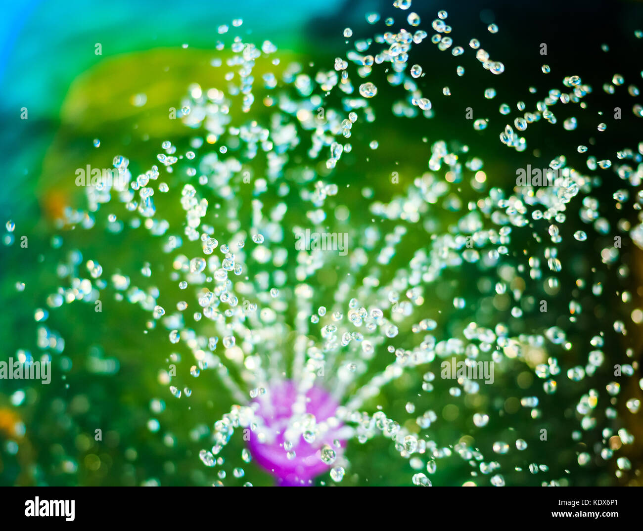 Sweat beads hi-res stock photography and images - Alamy