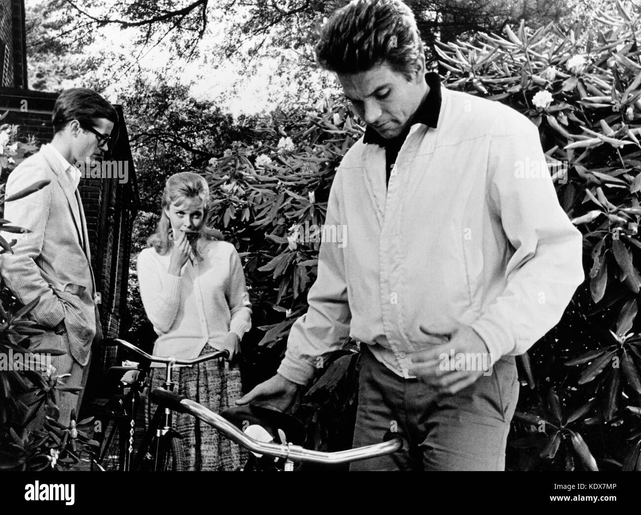 Lilith 1964 warren beatty hi-res stock photography and images - Alamy