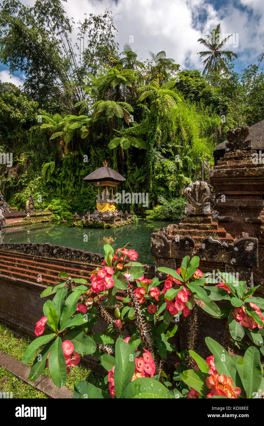 Island temple at the holy springs at Pura Gunung Kawi Sebatu temple ...