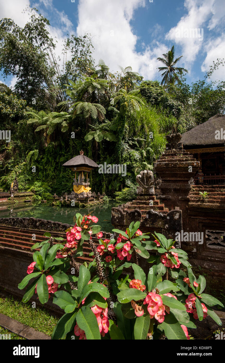 Island temple at the holy springs at Pura Gunung Kawi Sebatu temple ...