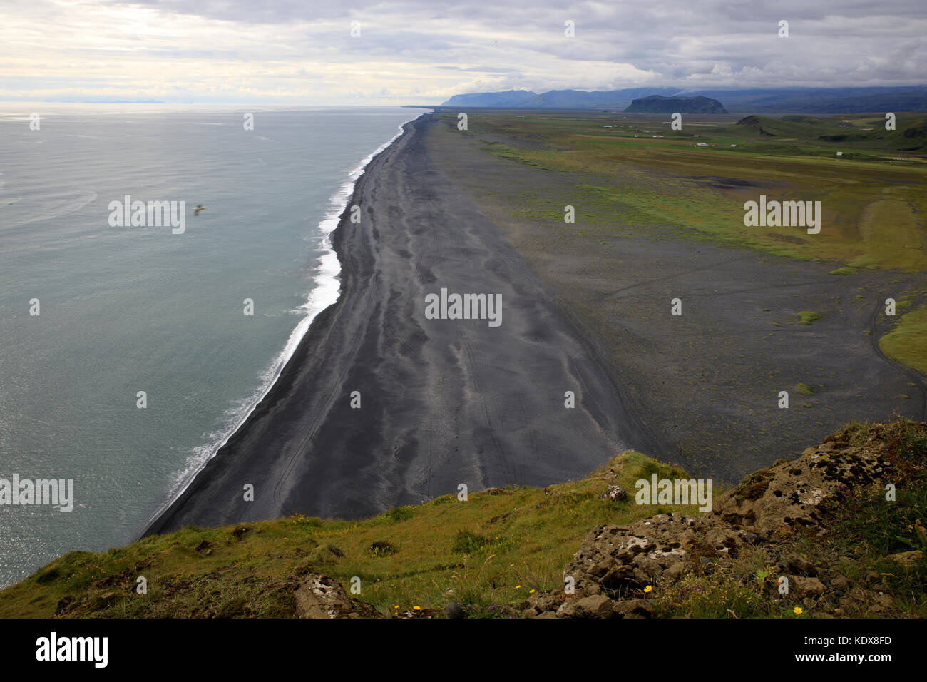 Dyrholaey promontory view, Vik, Iceland, Europe Stock Photo - Alamy