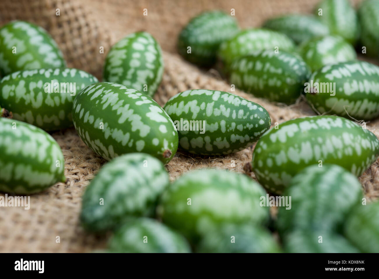 Cucamelon fruit, also known as Mexican gherkins, Mexican sour cucumbers ...