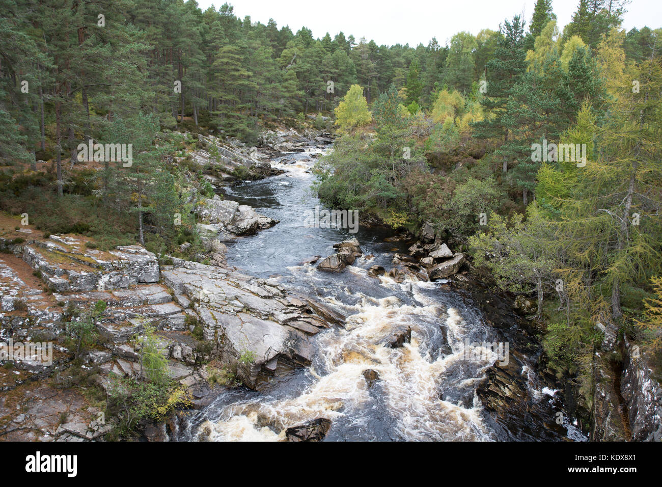 Looking upstream from Little Garve Bridge Stock Photo - Alamy