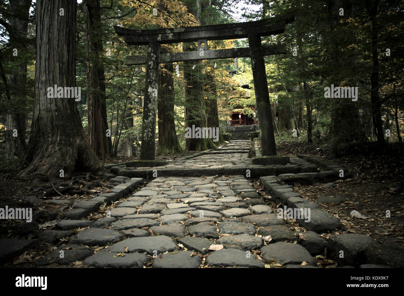 Stone path to a Shintoist sanctuary Stock Photo - Alamy