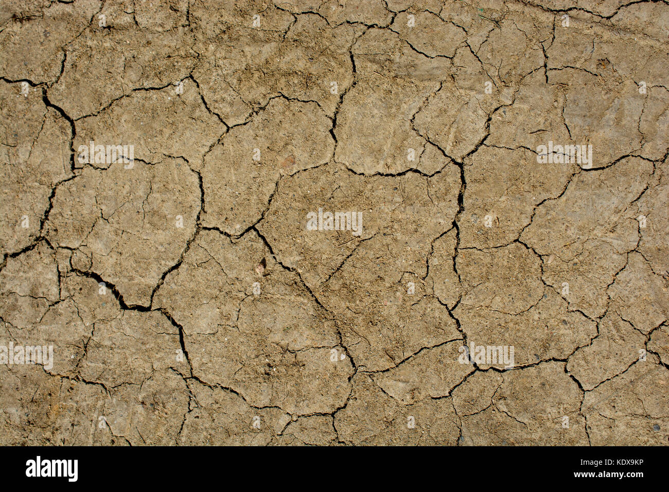 Soil surface as a background texture Stock Photo - Alamy