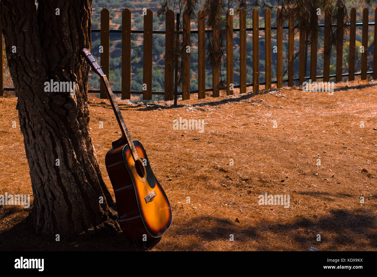 acoustic guitar on a tree outside at a park on an autumn scenery with ...