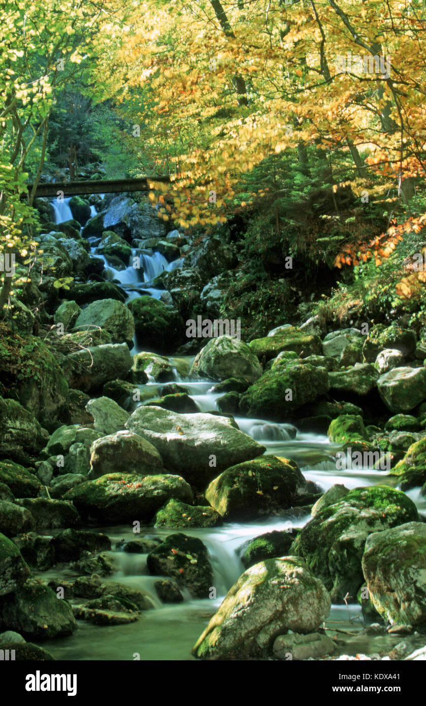 Bach bei Kropa Stock Photo - Alamy
