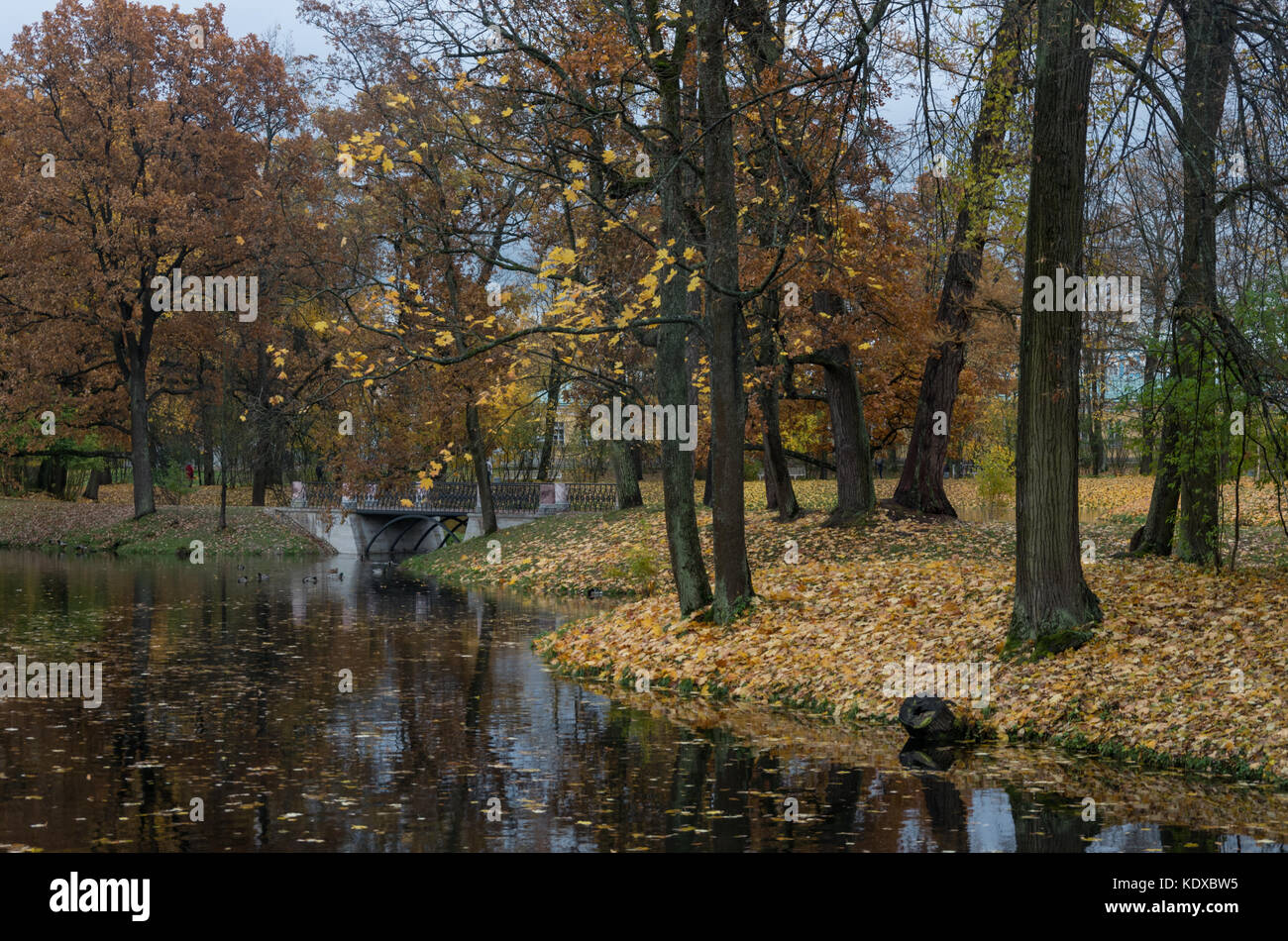 Golden autumn with colorful leaves. Pond in Alexander Park in Pushkin ...