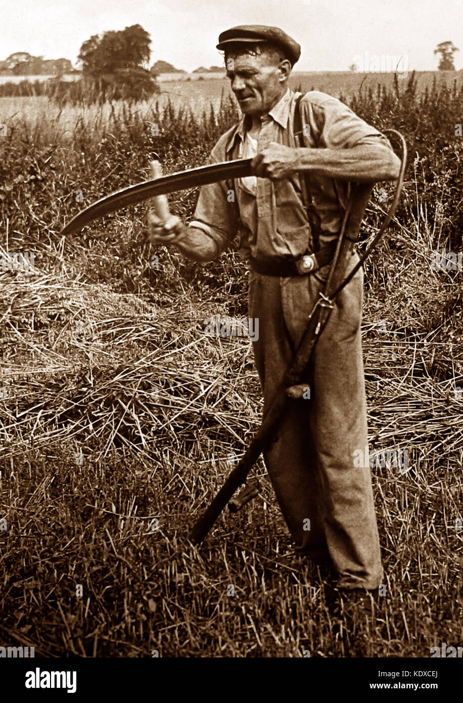 Scything hi-res stock photography and images - Alamy