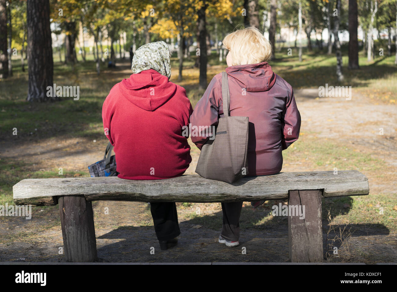 Woman Sitting On Bench Back View