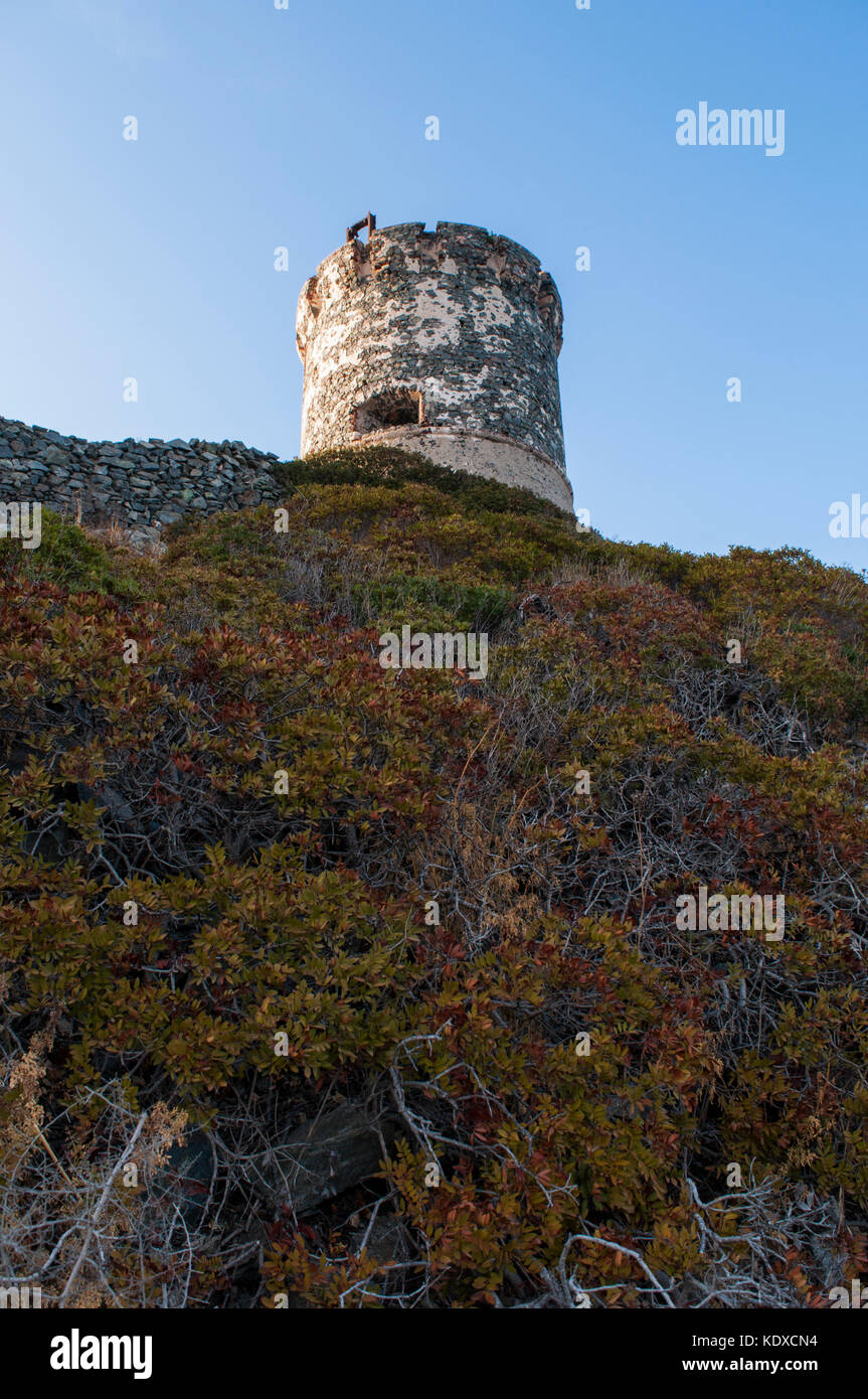 Corica, Gulf of Ajaccio: sunset on La Parata Tower, a ruined Genoese ...