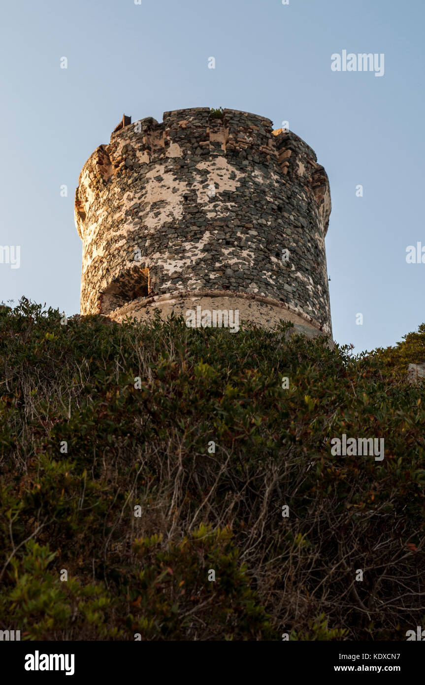 Corica, Gulf of Ajaccio: sunset on La Parata Tower, a ruined Genoese ...