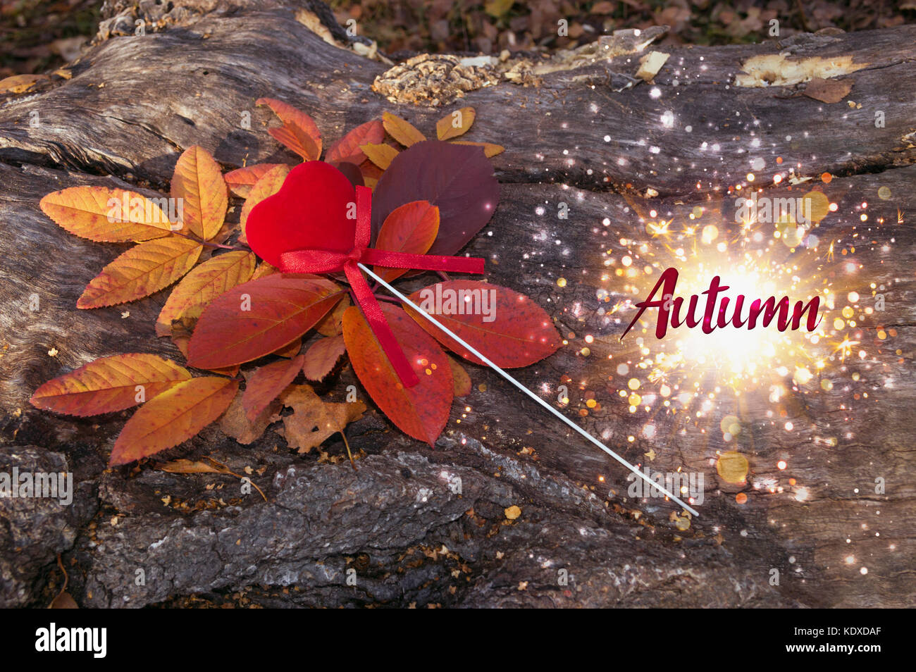 red velvet heart in leaves with autumn sign Stock Photo - Alamy