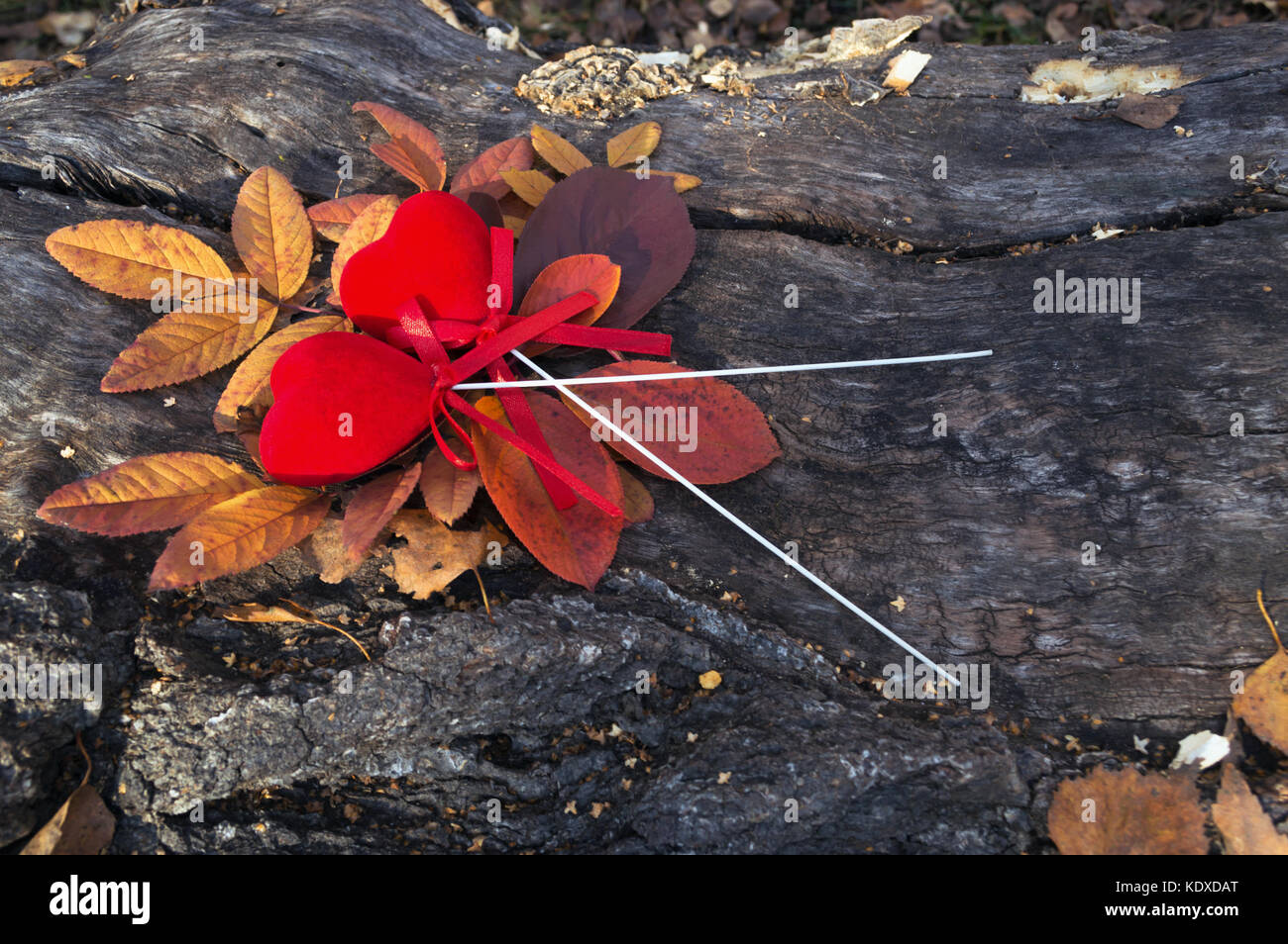 couple of red velvet heart on sticks Stock Photo - Alamy