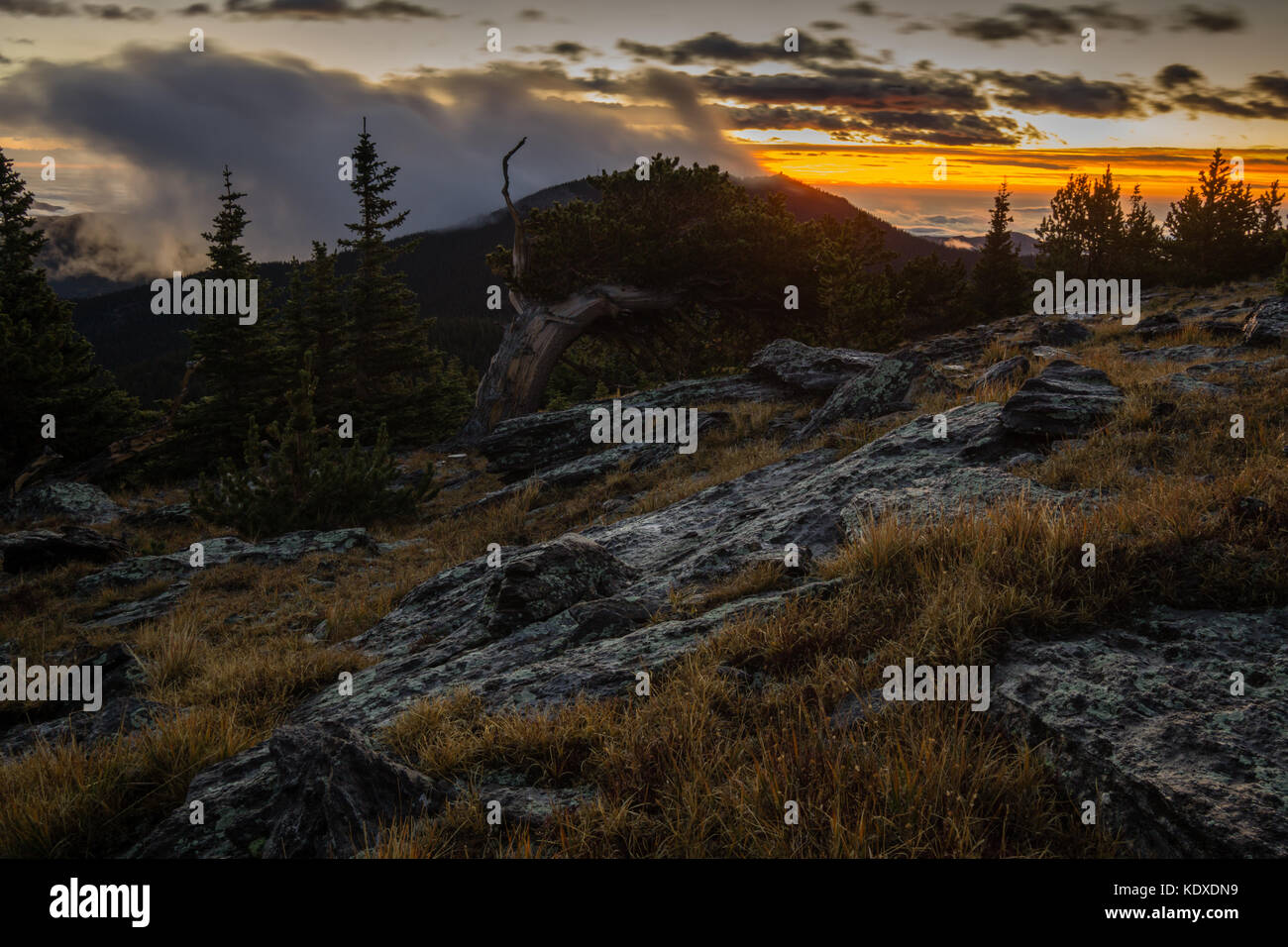 Chief Mountain, near Evergreen, Colorado Stock Photo - Alamy