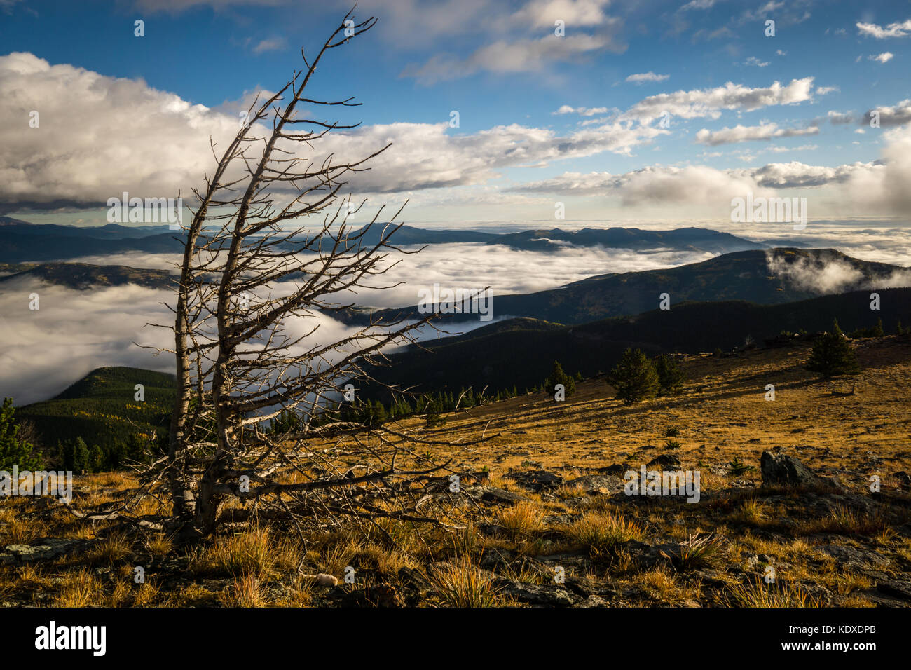 Chief Mountain, near Evergreen, Colorado Stock Photo - Alamy