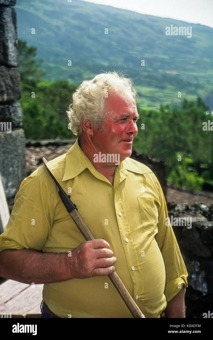 Occupational portrait of a sunburned, red-faced, Azorian Portuguese ...