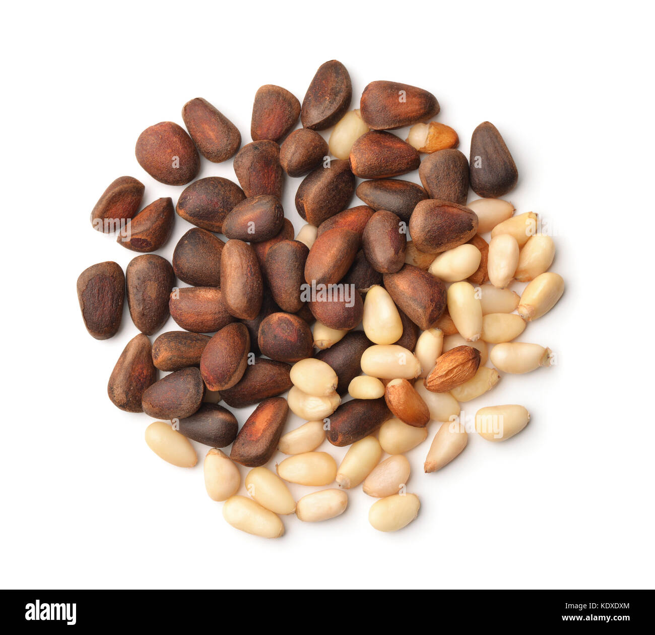 Shelled cedar pine nuts hi-res stock photography and images - Alamy