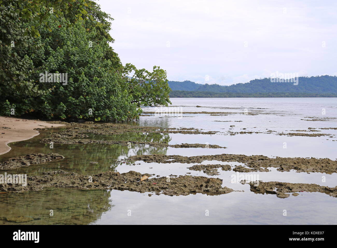 Playa Salsa Brava, Puerto Viejo de Talamanca, Limón province, Caribbean Sea, Costa Rica, Central ...