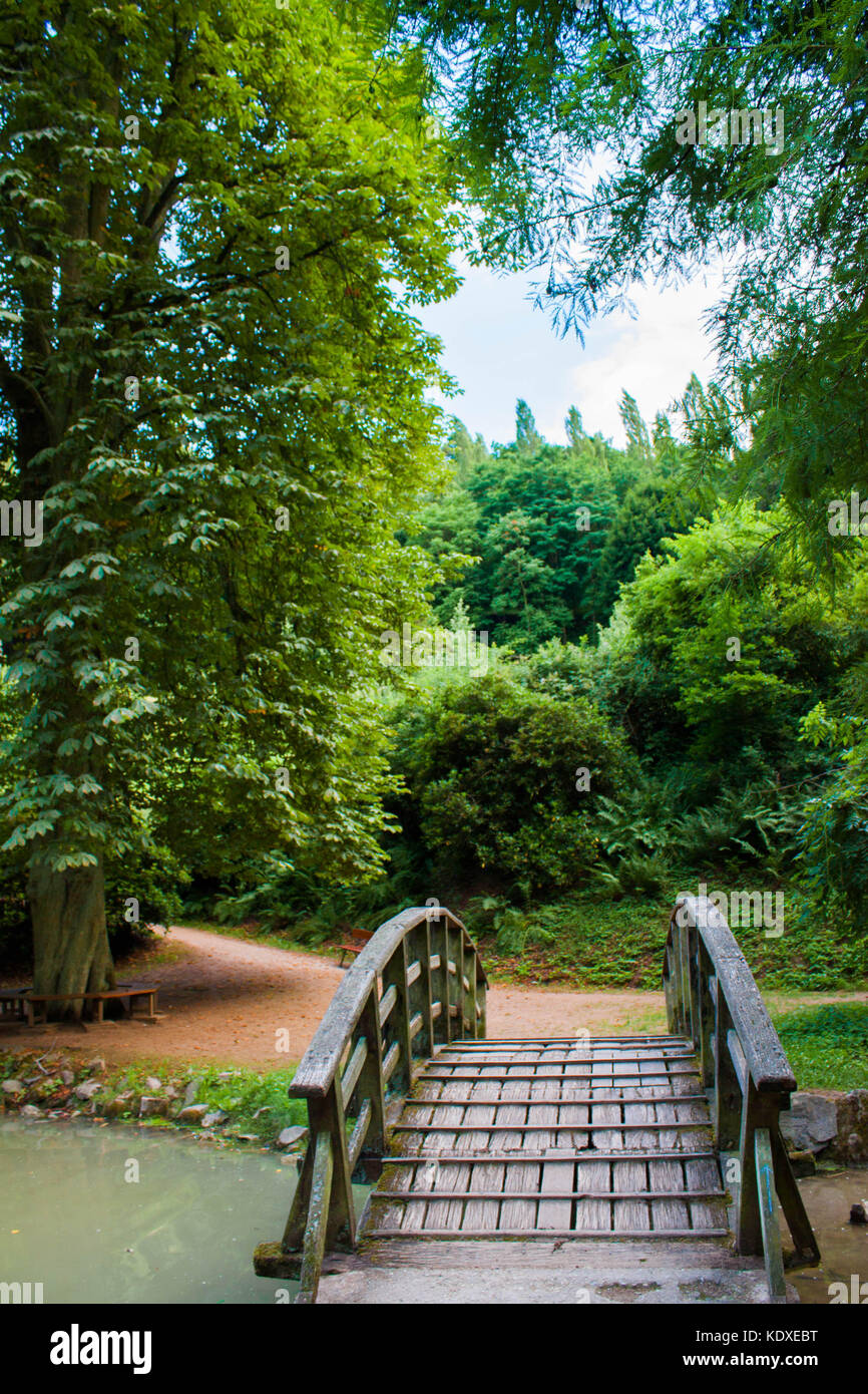 The bridge in the green oasis attracts attention and gives incredible ...