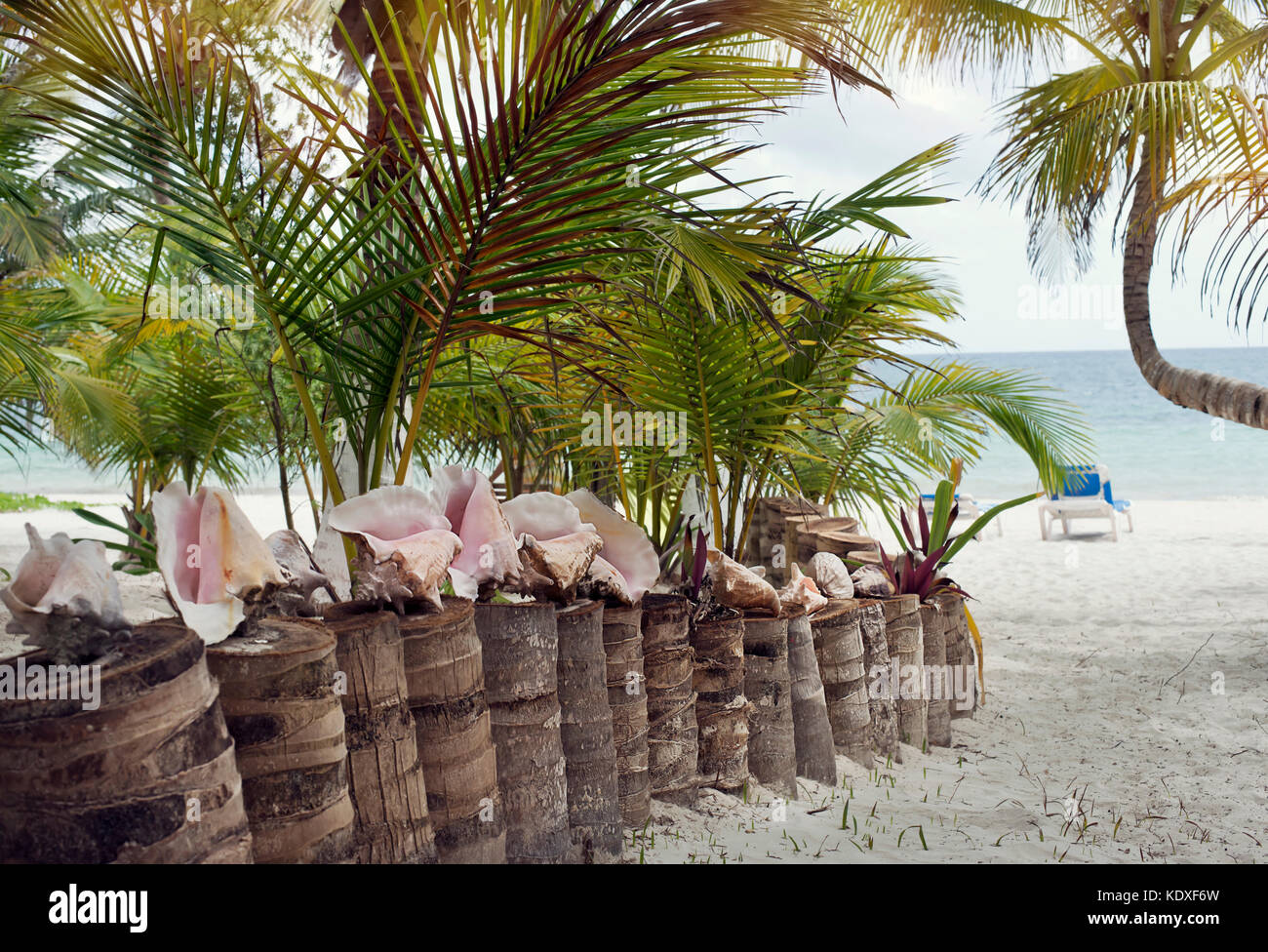 Shady Path to Tropical beach Stock Photo - Alamy